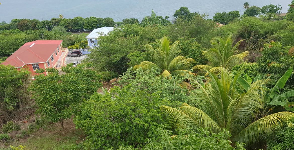 4 Bedroom Home & 2 Apt. Residential Building For Sale In Jimmit ...