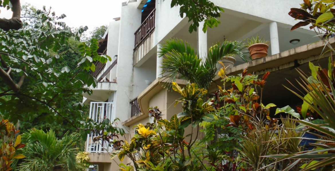 Modern Home in Eggleston on 1.6 Acres (UNDER OFFER) - Millenia Realty ...