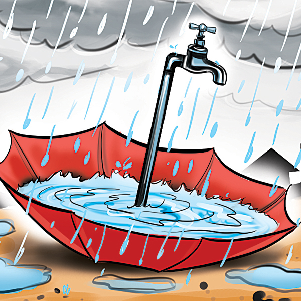 Take Advantage of the Rain to Conserve Water and Save Money - Millenia ...