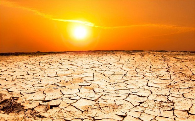 Drought Survival Tips - Millenia Realty Dominica