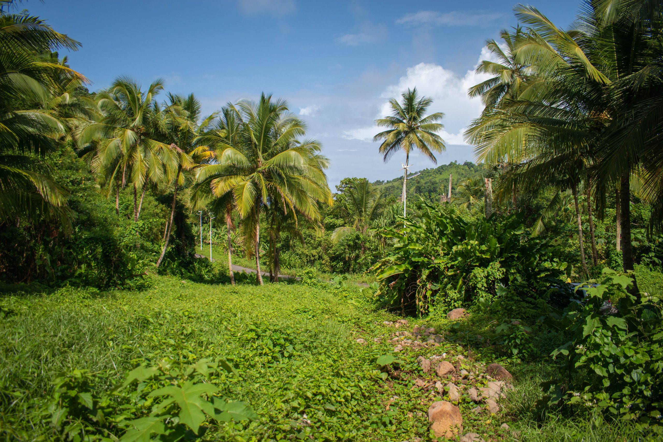 Land For Sale At Rosalie Estate, Dominica - Millenia Realty Dominica